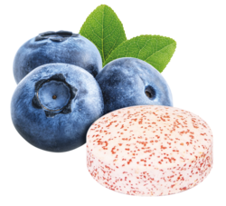 MacuShield® Original Chewable - Alliance Macushield