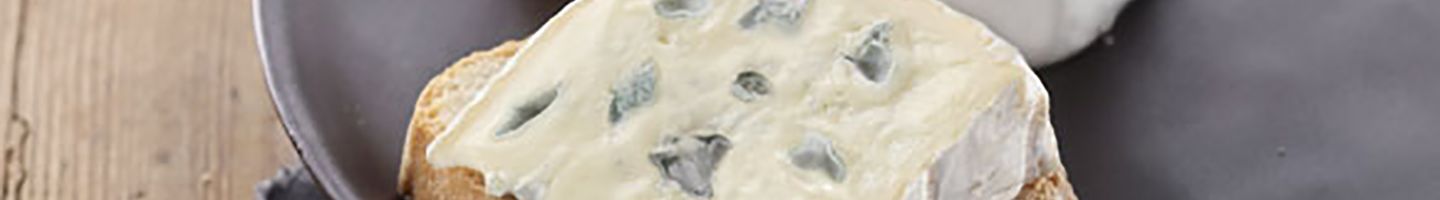 Bresse Bleu - Qui veut du fromage