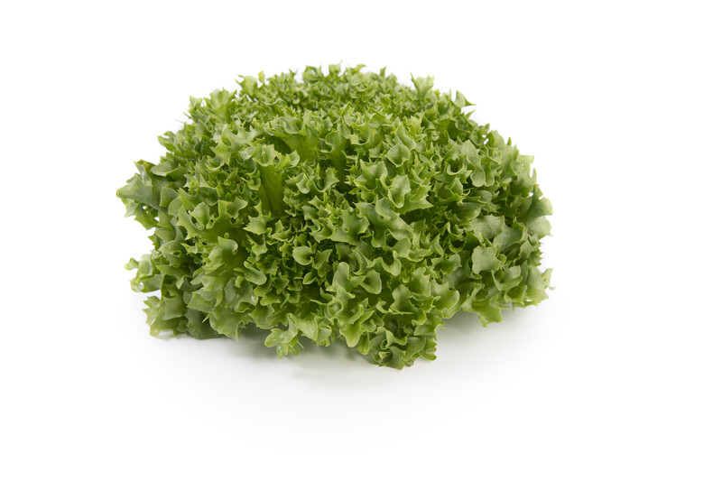 Alface Verde
