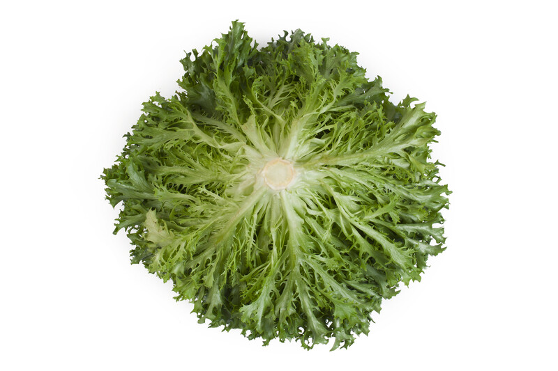 Salanova® EXPERTISE RZ (79-27) - Lettuce | Rijk Zwaan