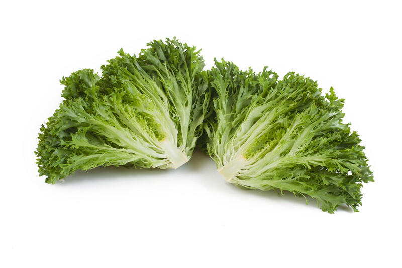 Salanova® EXPERTISE RZ (79-27) - Lettuce | Rijk Zwaan