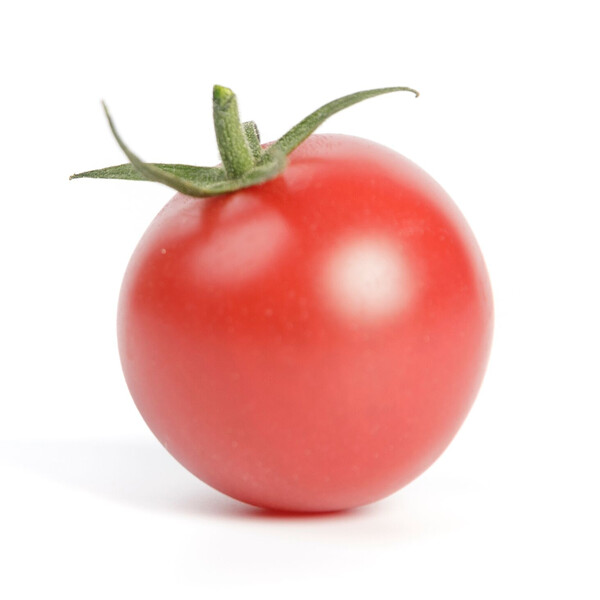 ROZNARI RZ F1 | Cherry tomato | Vegetable seeds | Rijk Zwaan