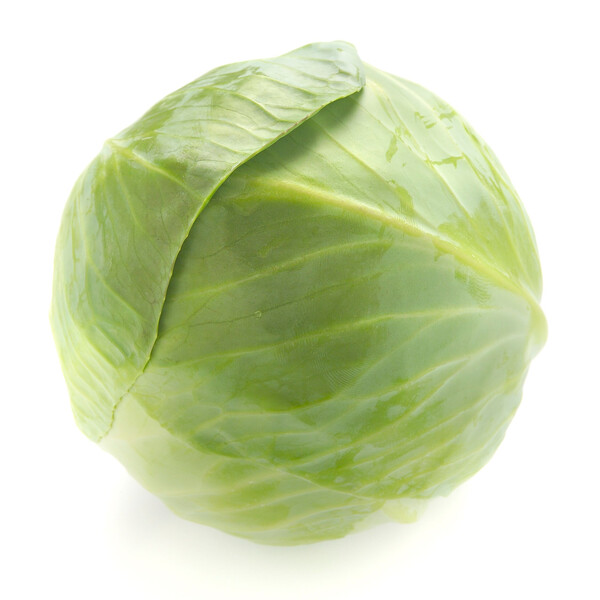 TOUGHMA RZ F1 | White cabbage | Vegetable seeds | Rijk Zwaan