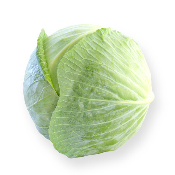 ORIEMA RZ F1 | White cabbage | Vegetable seeds | Rijk Zwaan