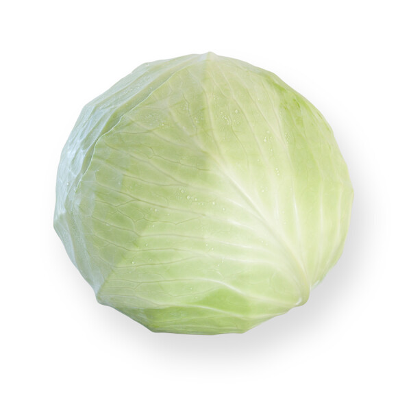 Kool Zaden | Wittekool | MUCSUMA RZ F1 | Rijk Zwaan