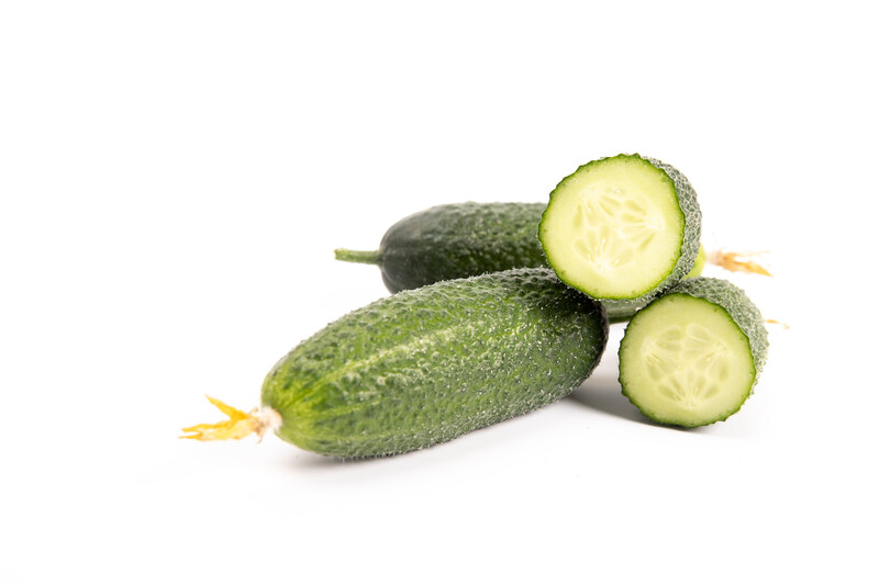 PROMISSA RZ F1 - Berakóuborka | Rijk Zwaan Magyarország