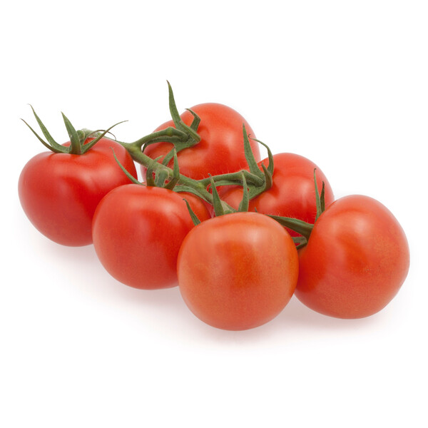 ROTERNO RZ F1 | Ronde tomaat | Groentezaden | Rijk Zwaan