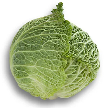 All About Our Cabbage | Rijk Zwaan