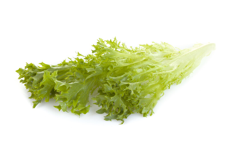 Salanova® EXPERTISE RZ (79-27) - Lettuce | Rijk Zwaan