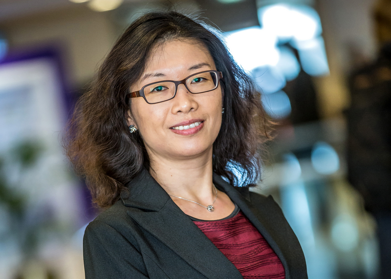 RSM Diploma Programme in General Management - Rotterdam School of ...