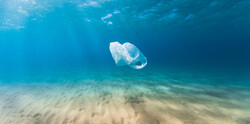 Plastics phase-out: Exposure through the value chain