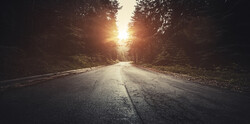 Dodging potholes on the road to recovery