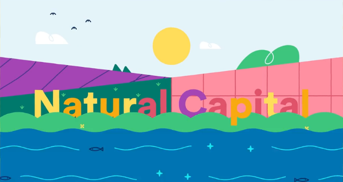 Video: what is natural capital?