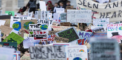 What are the UN's Sustainable Development Goals? A quick guide