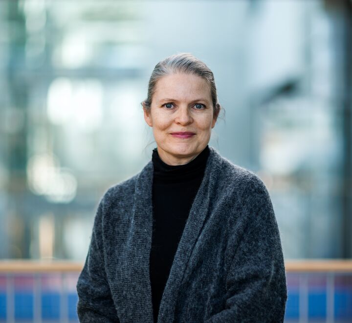 Birgitte Grøgaard | BI