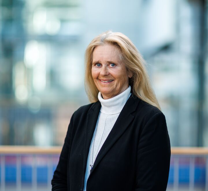 Ansatte | Institutt for regnskap, revisjon og foretaksøkonomi | BI