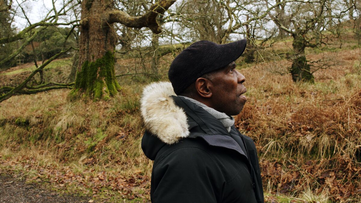 Charles Gaines — Artists | Hauser & Wirth