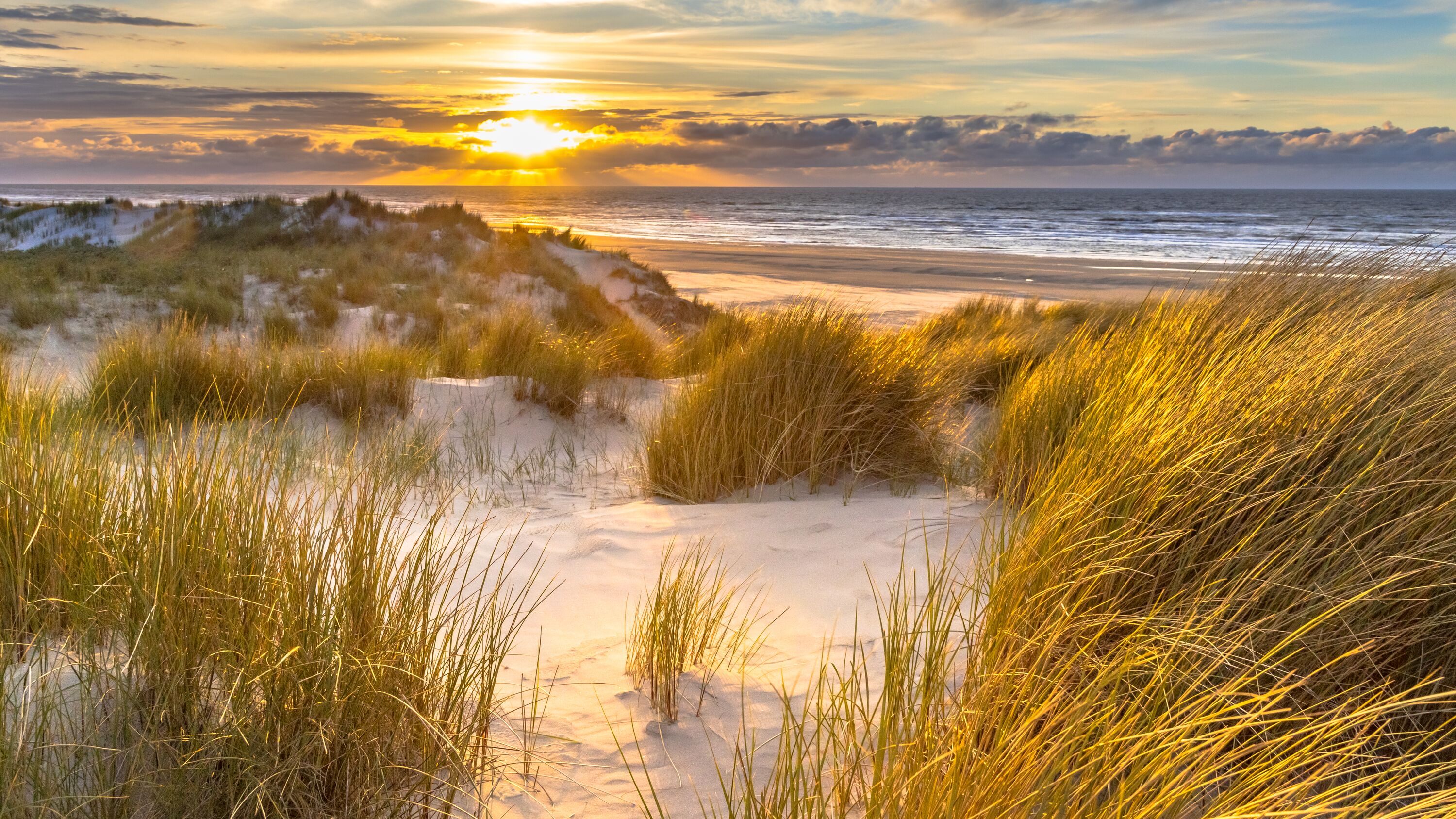 Vakantie Waddeneilanden? De mooiste Waddeneilanden reizen! » ANWB