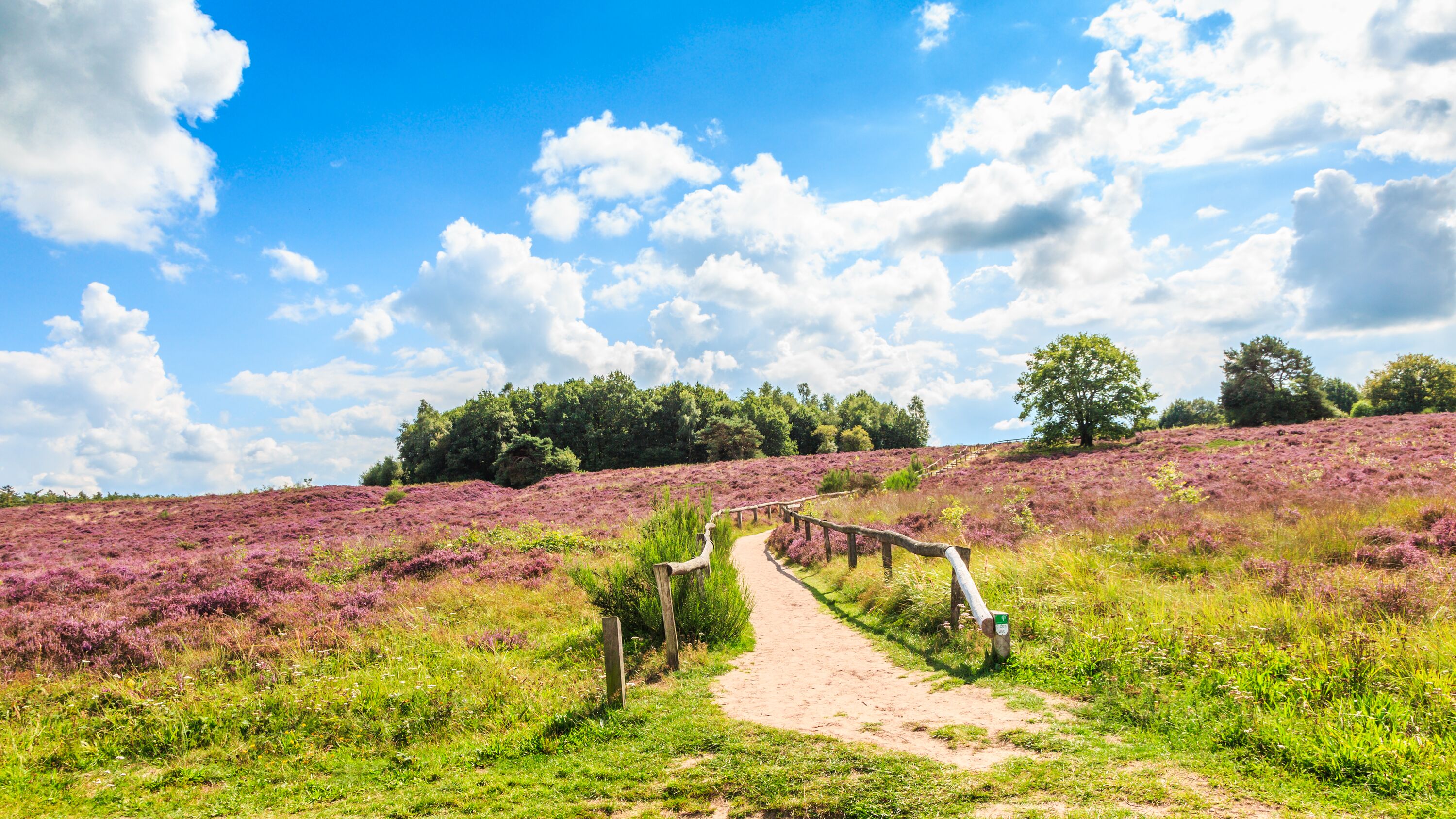 Vakantie Drenthe? De mooiste Drenthe reizen! » ANWB