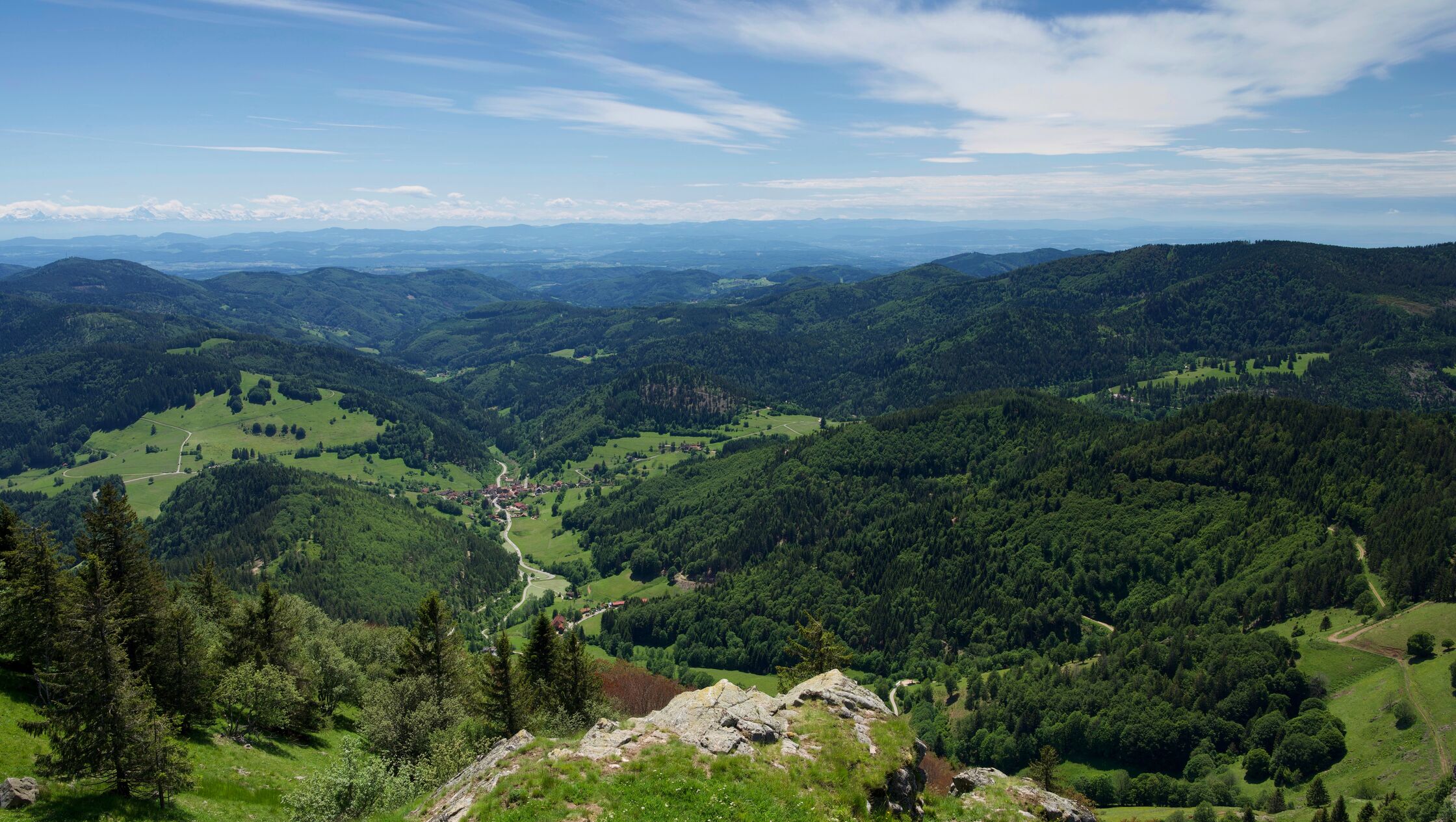 Het Zwarte Woud: de 14 leukste bezienswaardigheden | ANWB