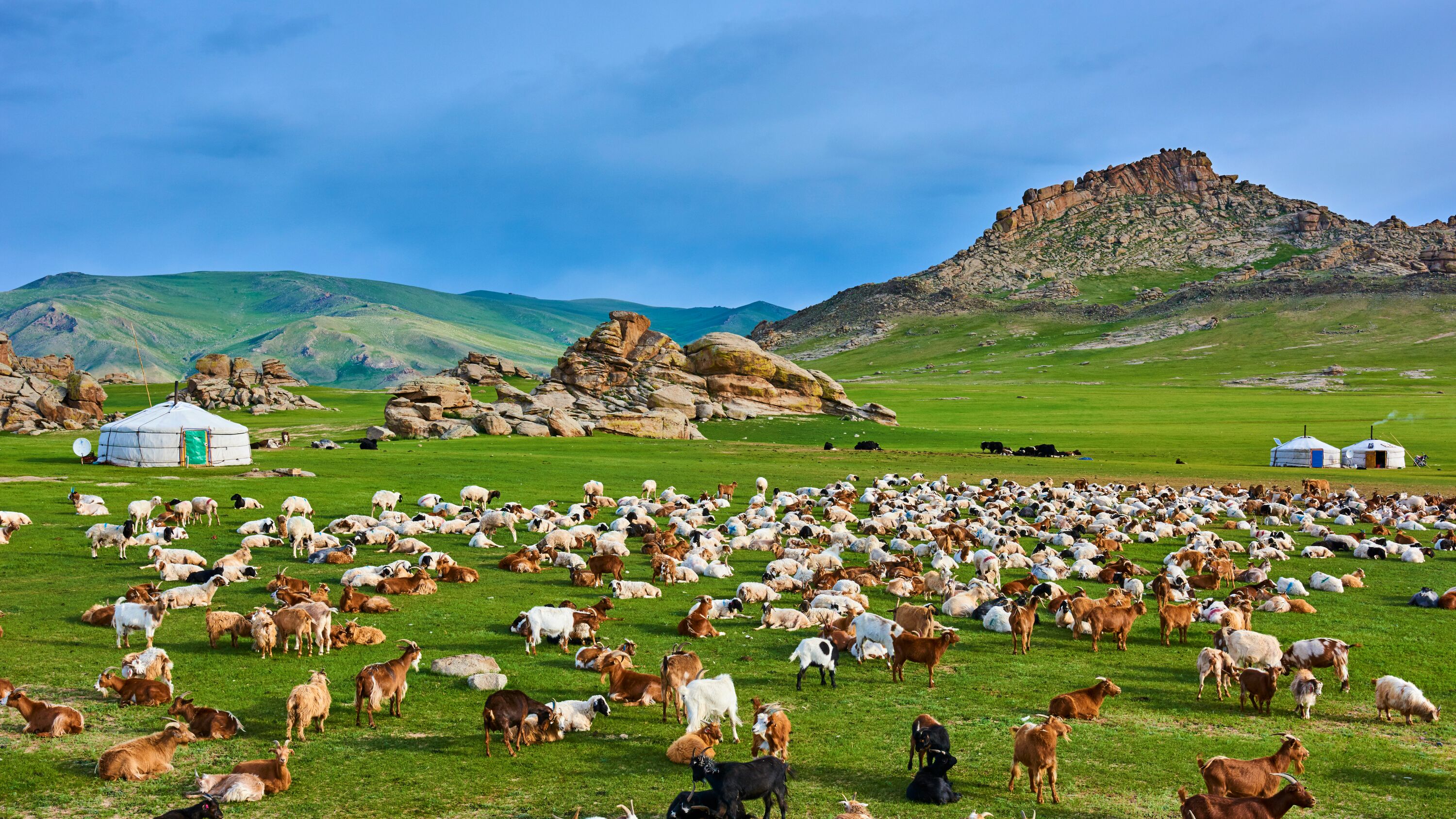 Vakantie Mongolië? De mooiste Mongolië reizen! » ANWB