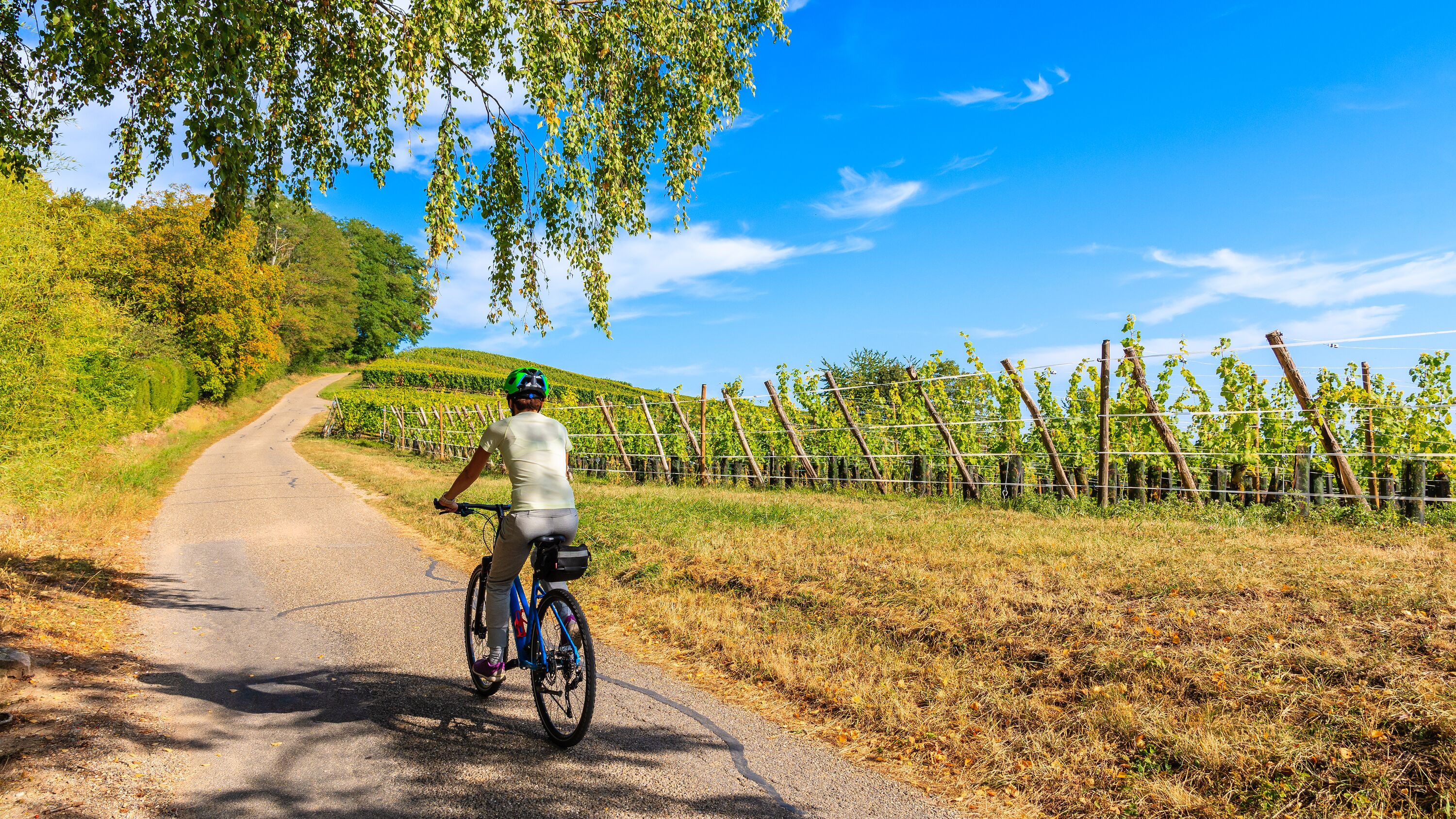 Fietsvakanties in Europa: 10 toproutes en -bestemmingen | ANWB