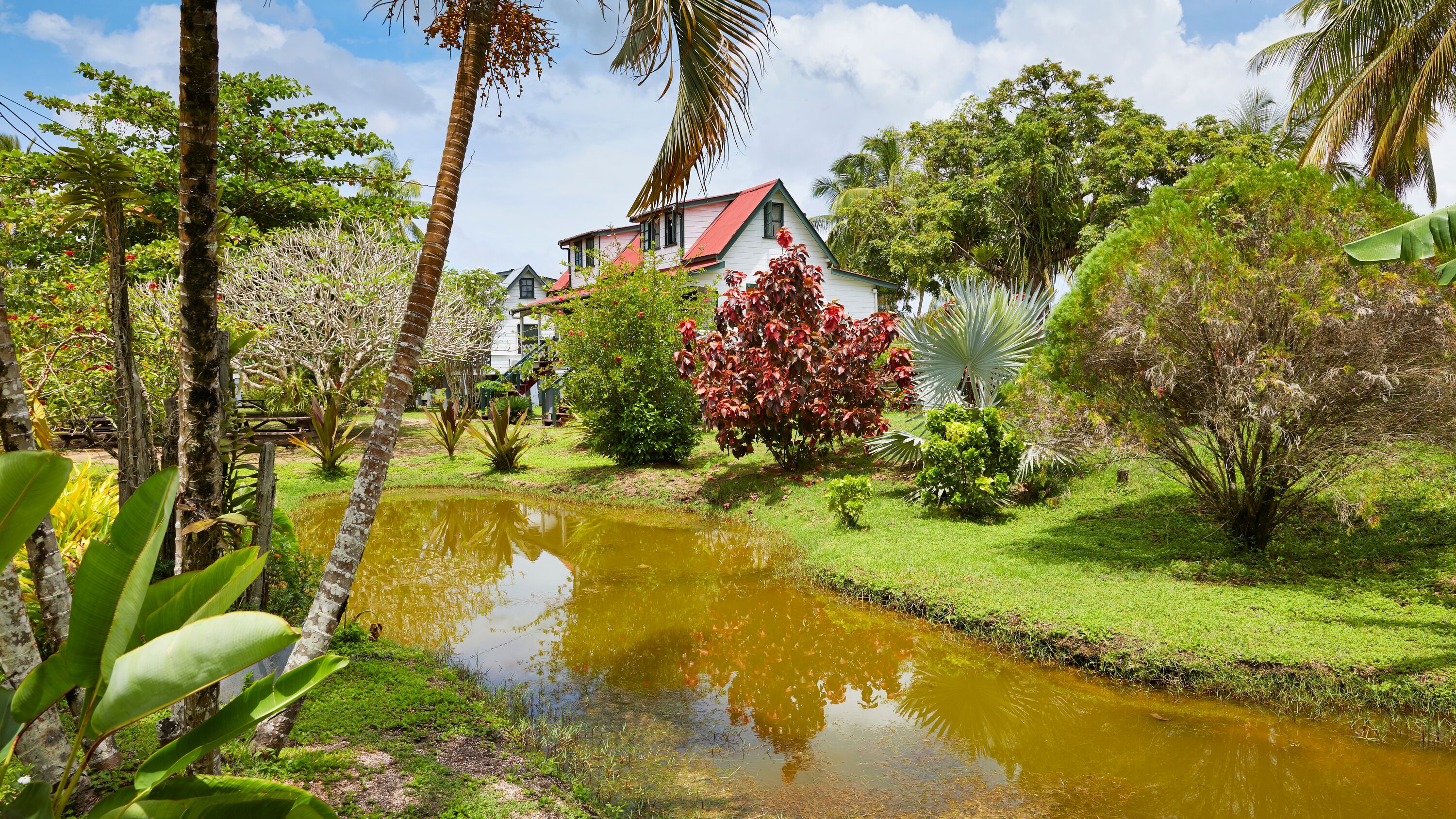 Vakanties naar Paramaribo, Suriname? Vakanties van » ANWB