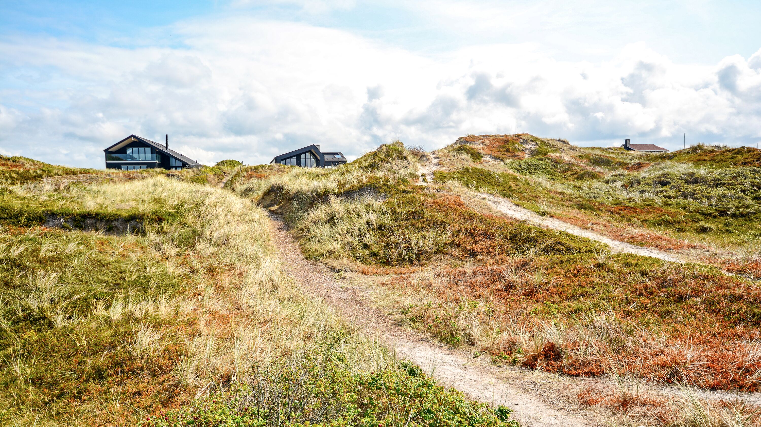 Vakantie Jutland? De mooiste Jutland reizen! » ANWB