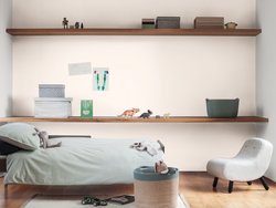 Whitney White 70YR 83/034 Wall Paint - White Colour Palette for House ...