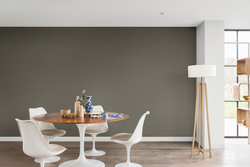 Warm Graphite | Dulux