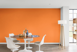 Tangerine Fizz - Orange - Find products in this colour | Dulux