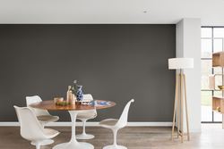 Sacred Grey 17YY 16/022 Wall Paint - Warm Neutral Colour Chart for ...