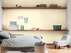 44YY 87/118 - Yellow - Find products in this colour | Dulux_Trade