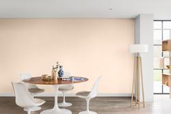 Seashell Pink 82YR 81/106 Wall Paint - Orange Colour Palette for House ...