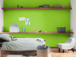Midgetgolf Green 16GY 54/615 Wall Paint - Lime Colour Chart for House Paint