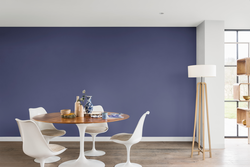 Midnight Iris 1 - Violet - Find products in this colour | Dulux
