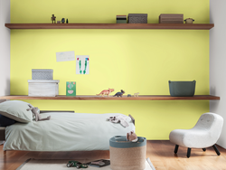 Lime Zest 4 - Lime - Find products in this colour | Dulux