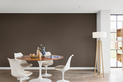 Monterey Cliffs 10YY 14/080 Wall Paint - Warm Neutral Colour Palette ...