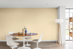 Flaxen White 30YY 71/138 Wall Paint - Gold Colour Chart for House Paint