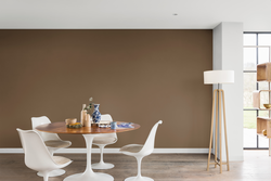 Coffee Muffin 06YY 21/130 Wall Paint - Warm Neutral Colour Palette for ...