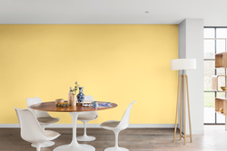 Buttered Corn - Yellow - Find products in this colour | Dulux