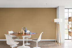 Surrey Beige 30YY 36/185 Wall Paint - Warm Neutral Colour Chart for ...