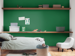 Racing Green 30GG 18/450 Wall Paint - Green Colour Chart for House Paint