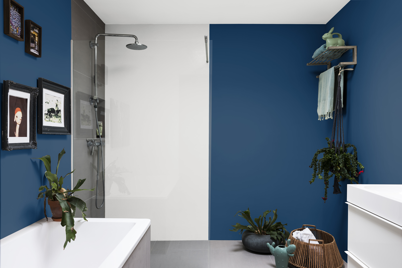 Dulux Colour Tester - Interior - Dulux