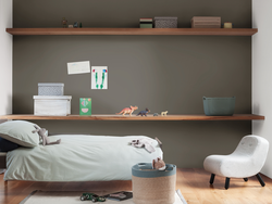 Warm Graphite | Dulux