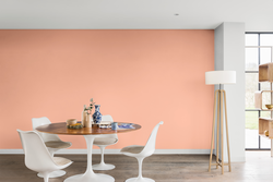 Sienna Sensation - Orange - Find products in this colour | Dulux