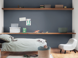 Grey Splendor - Cool Neutral - Find products in this colour | Dulux