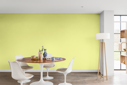 Lime Zest 4 - Lime - Find products in this colour | Dulux