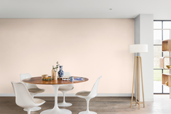 Alabaster Pink 60YR 83/060 - Orange - Find products in this colour | Dulux