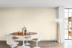 Delicate Seashell - White - Find products in this colour | Dulux